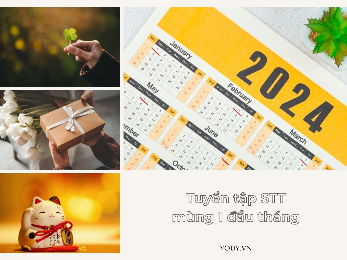 STT Mùng 1 Đầu Tháng Hài Hước: Cười Xuyên Màn Hình, Xả Stress Cực Mạnh | Yody